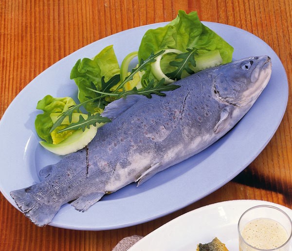 Truite au Bleu – Blue Trout – Wellington Flyfishers Club Inc.