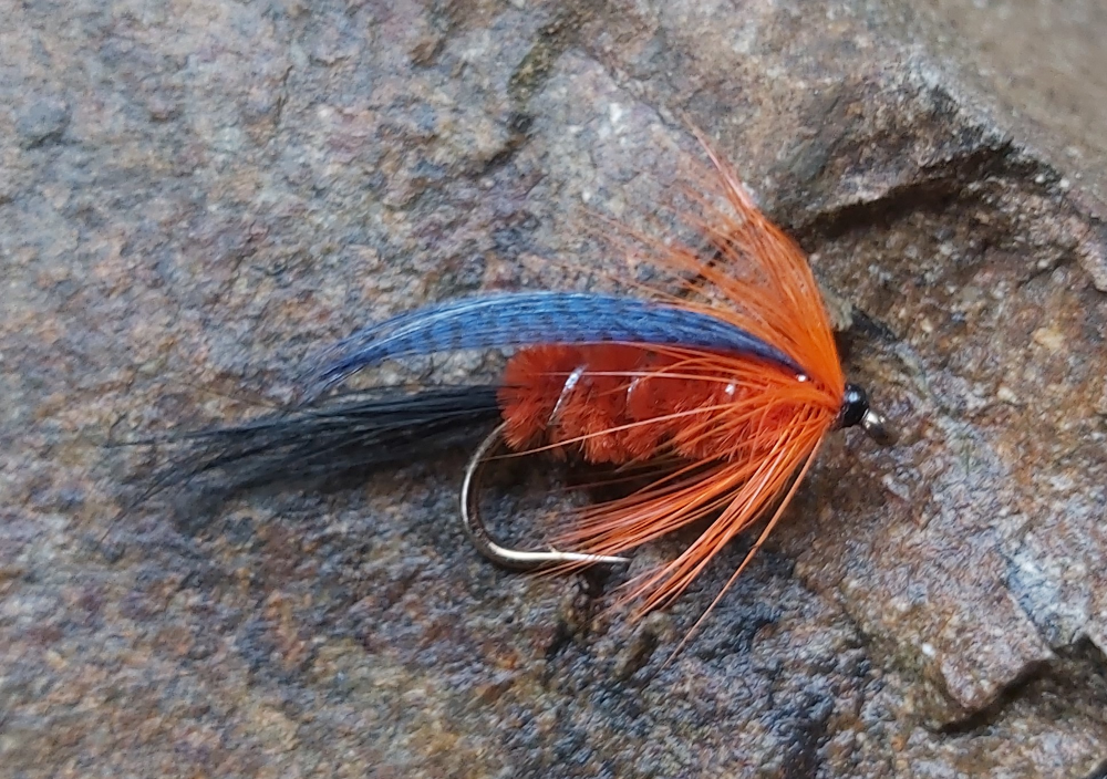 Fly of the Month: June 2021 (fly #2) – Wellington Flyfishers Club Inc.
