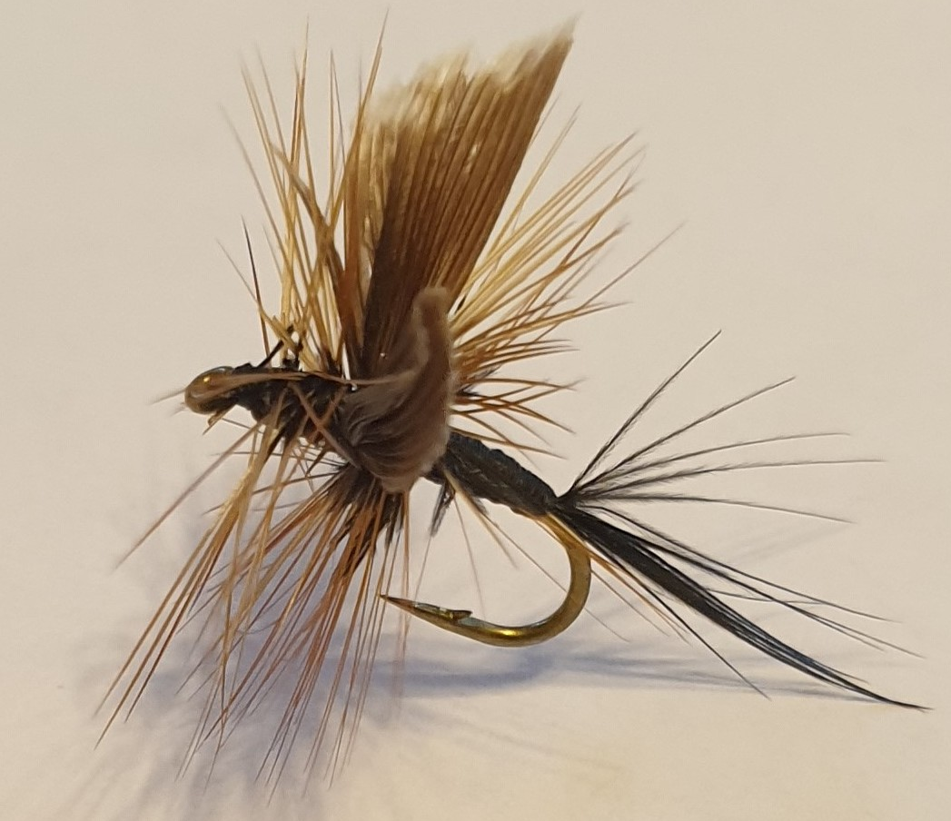 Fly of the Month: February 2023 – Wellington Flyfishers Club Inc.