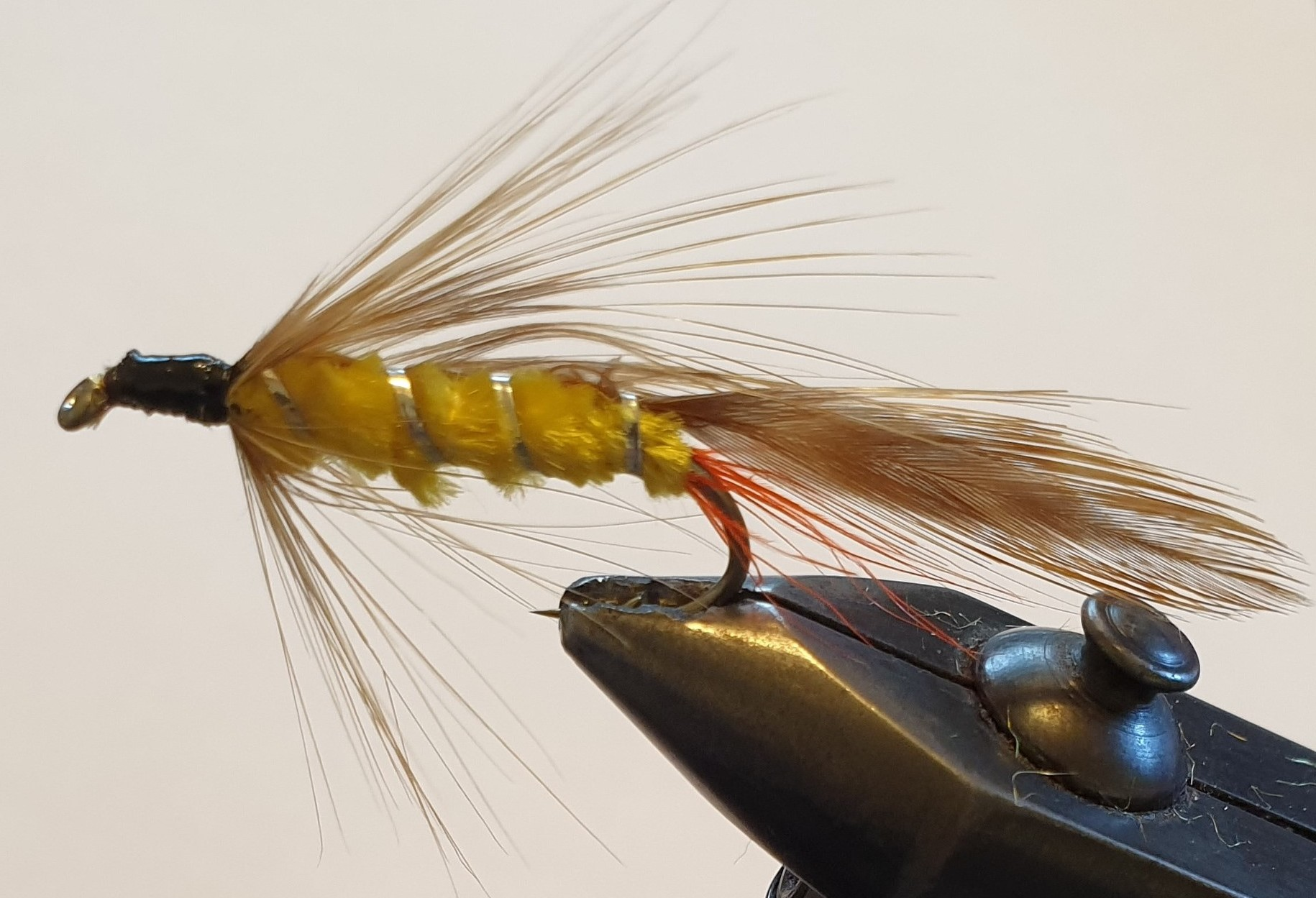 Fly of the Month: March 2023 – Wellington Flyfishers Club Inc.