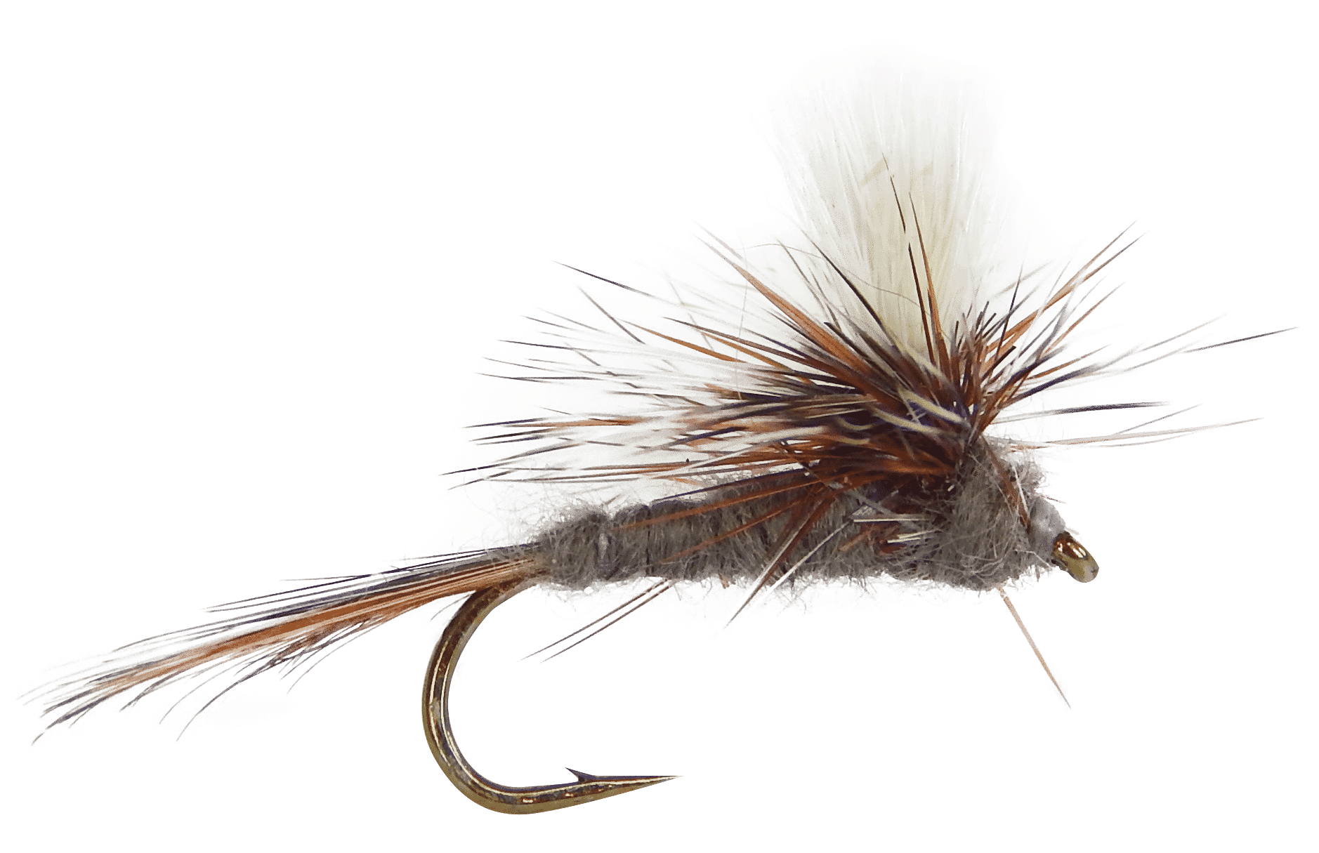 Fly of the Month: February 2024 – Wellington Flyfishers Club Inc.